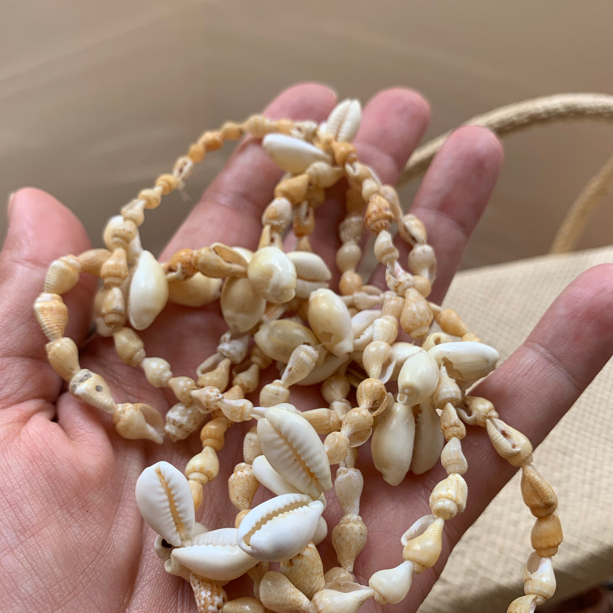 Delicate Shell Tourist Lei – Carny Couture